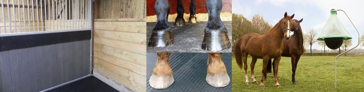 Stable & Field – www.horseandmore.co.uk
